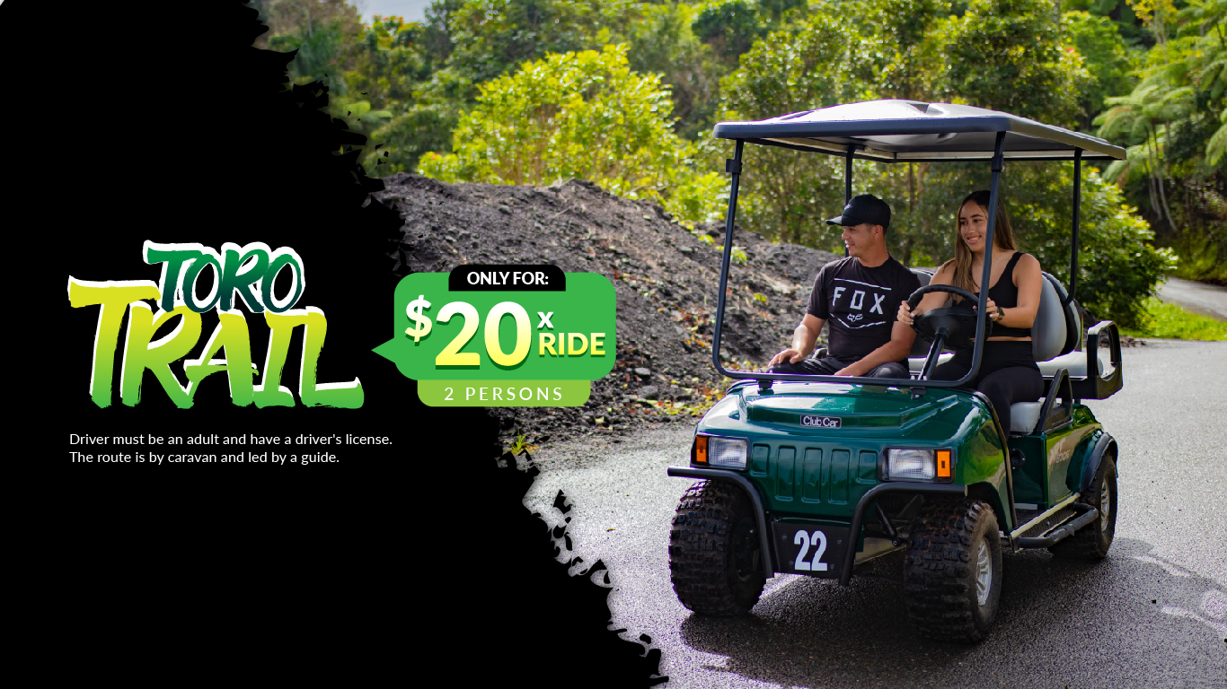 Home | Toro Verde Eco Adventure Park Orocovis